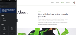 How to Embed PDF in Elementor without Plugins - CatFolders
